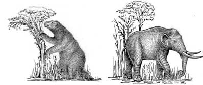 Com Ciência - Arqueologia e Sítios Arqueológicos